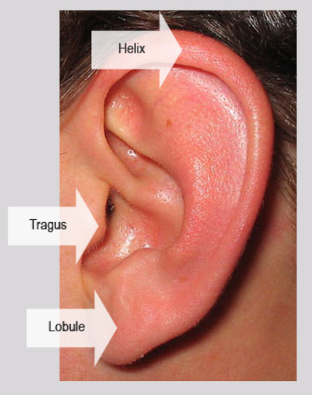 Medication Assistance (For the Unregulated Health Care Worker) - Ear ...